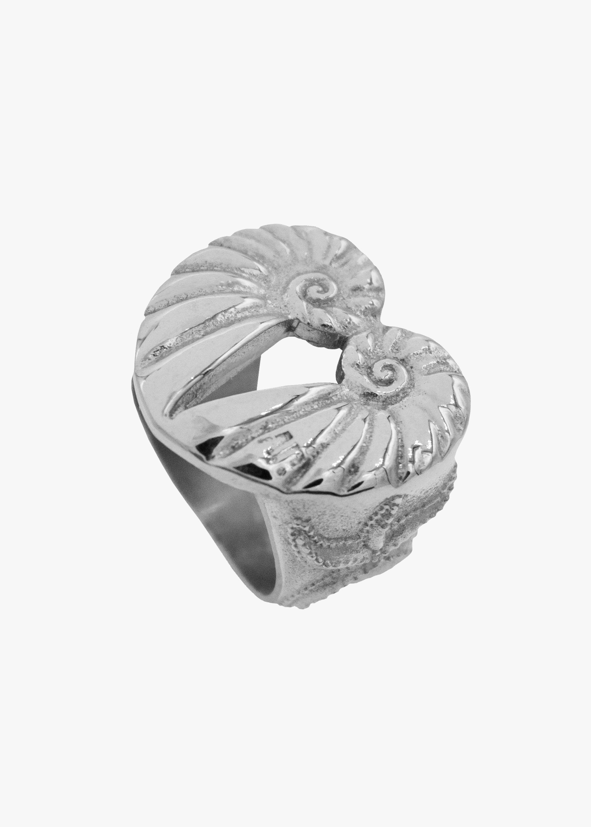 COASTAL SILVER – arenaroja