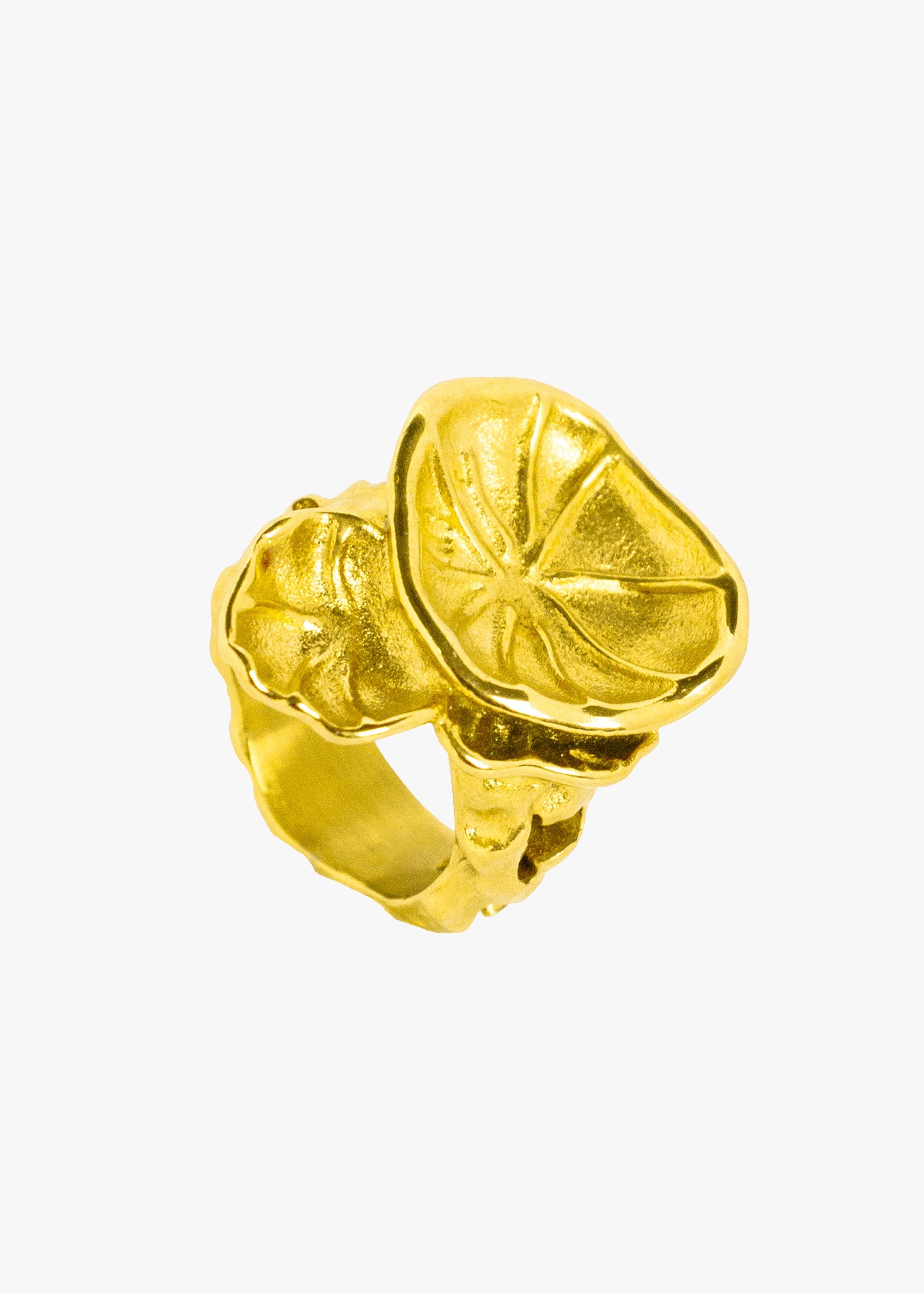 THE COAST RING – Arena Roja